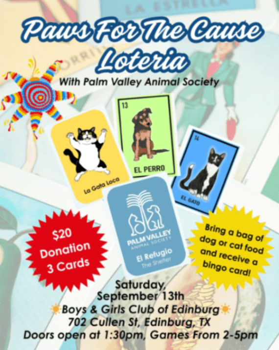 Pause for the Cause Loteria | HeyWAGO